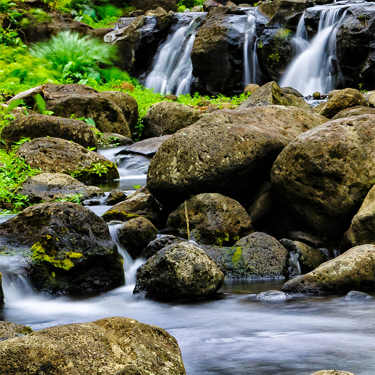 Rain Water - Greenwood Homes